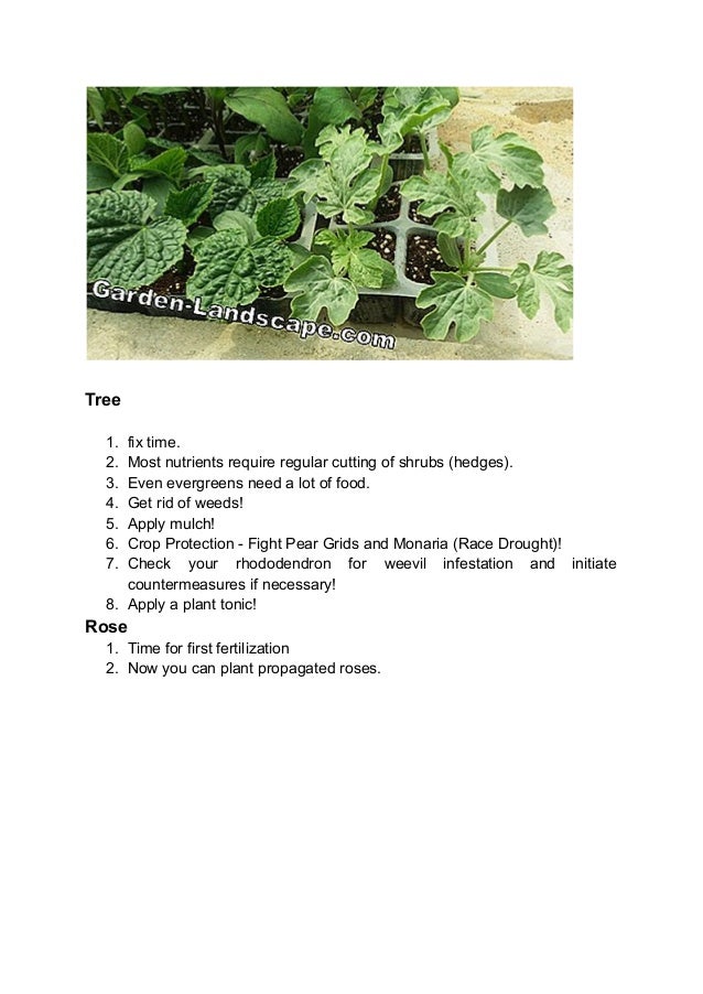 Home Gardening.pdf