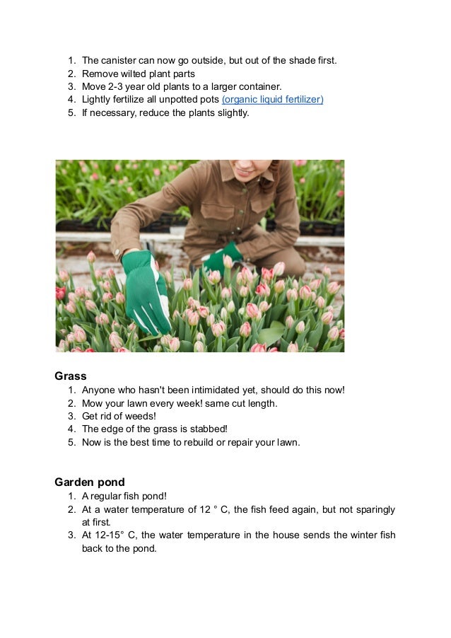 Home Gardening.pdf
