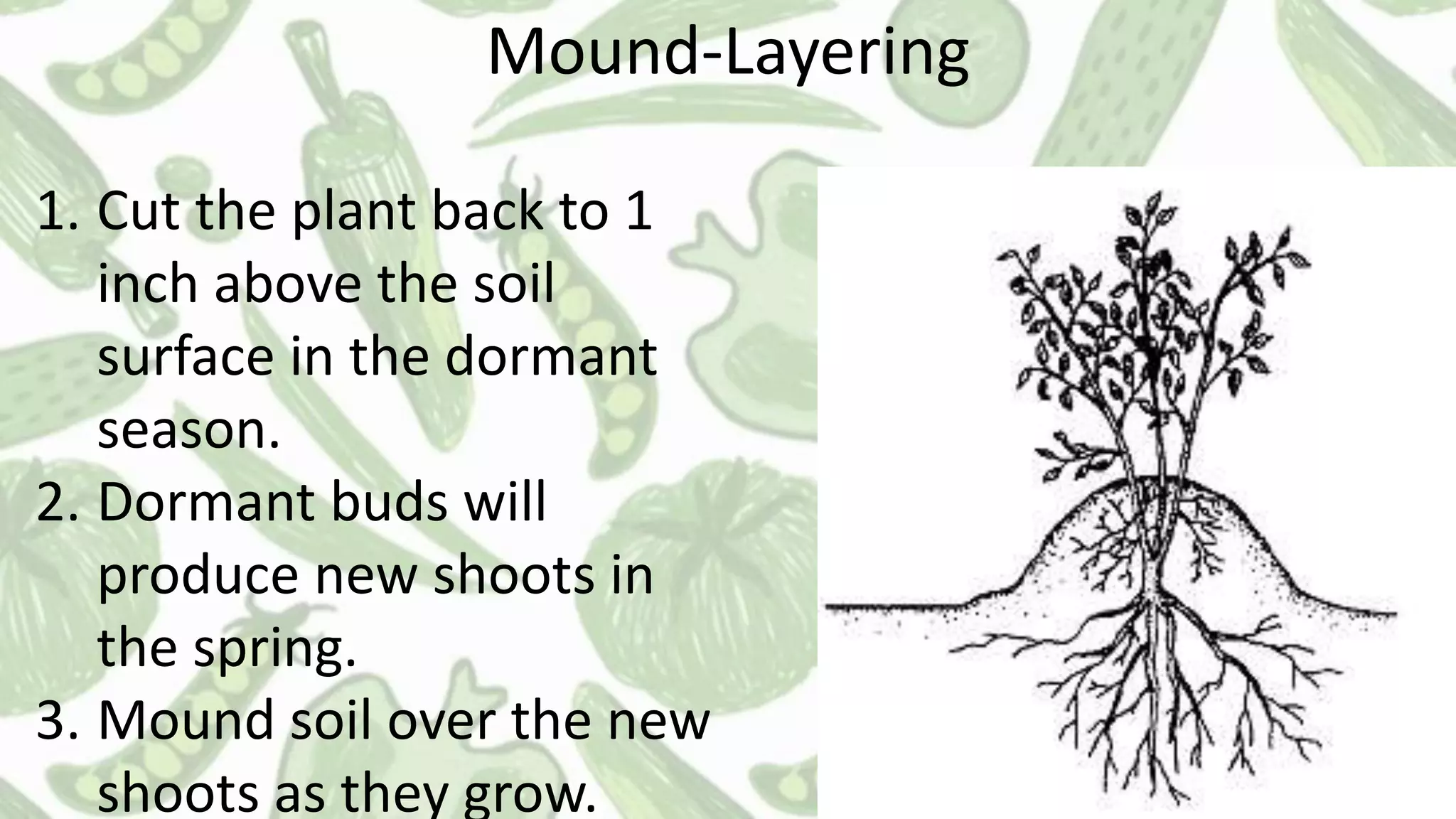 Home Gardening Certificate Course Module 6 - Plant Propagation ...
