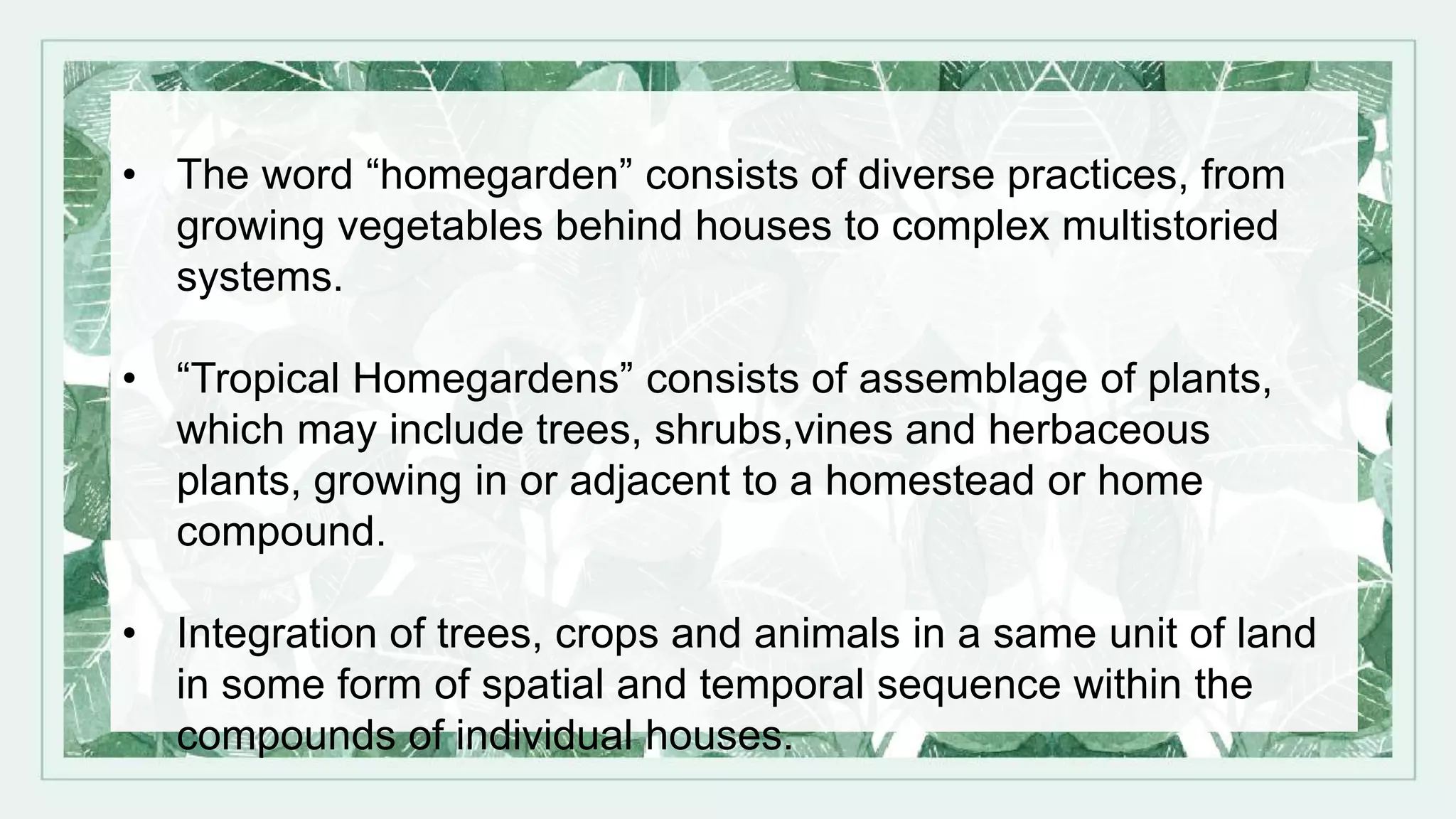 Home Garden Presentation.pptx