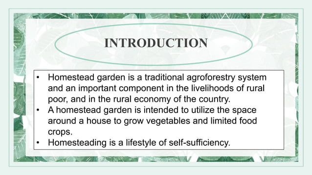 Home Garden Presentation.pptx