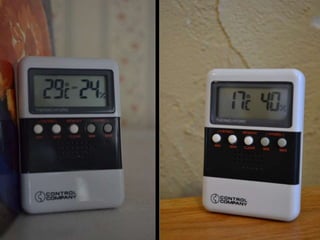 Germination Testing at Home | PPT