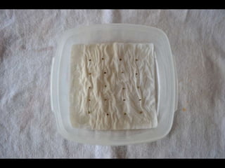 Germination Testing at Home | PPT