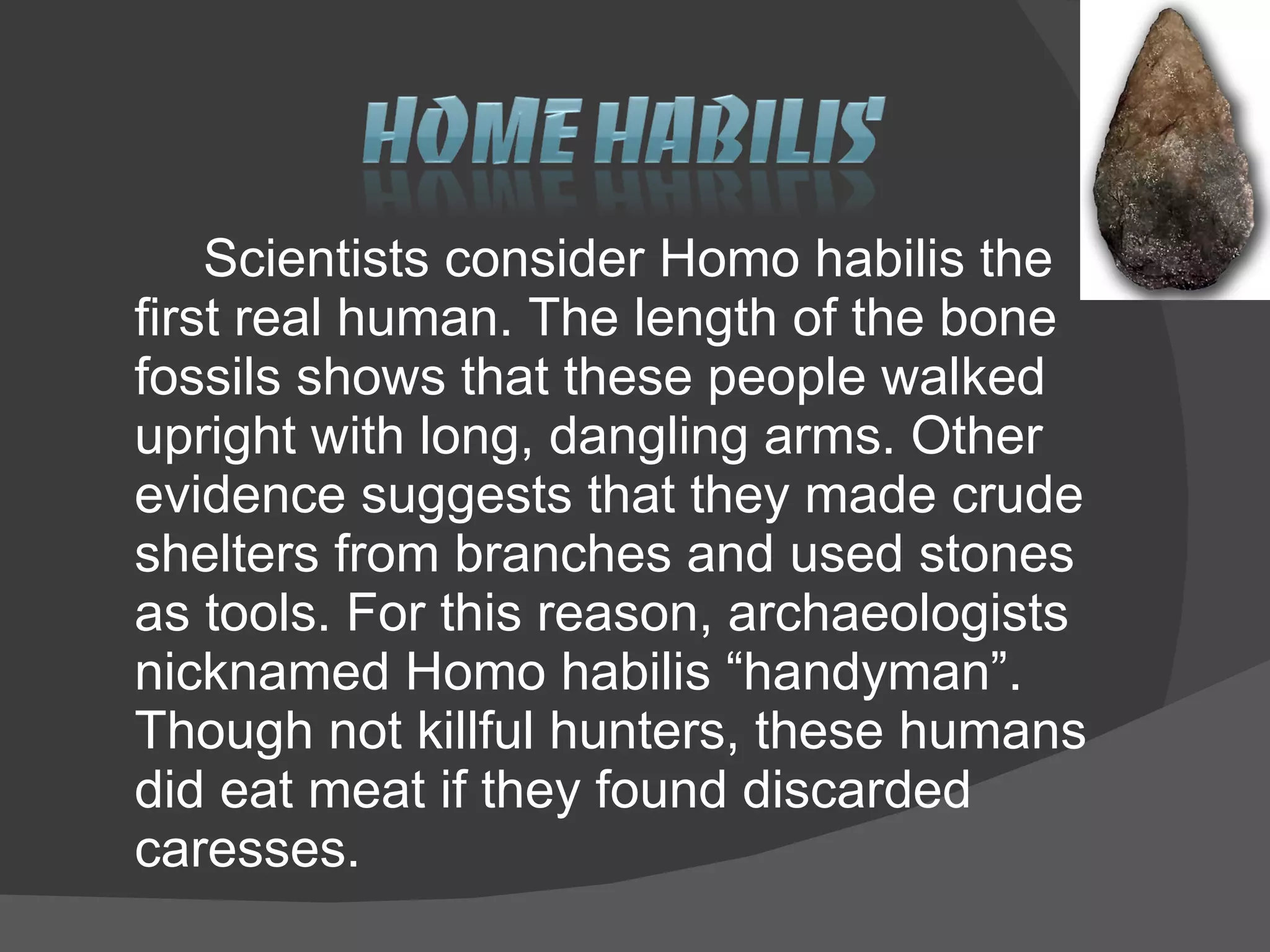 Home habilis | PPT