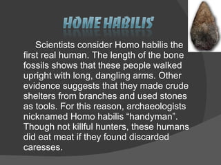 Home habilis | PPT