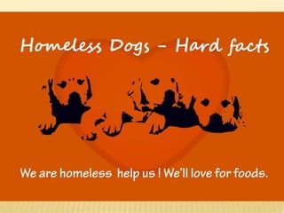 Homeless dogs hard facts | PPT