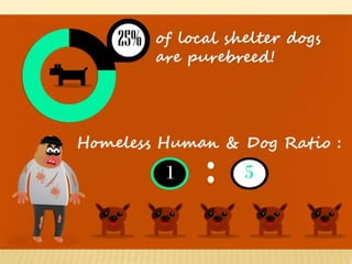 Homeless dogs hard facts | PPT