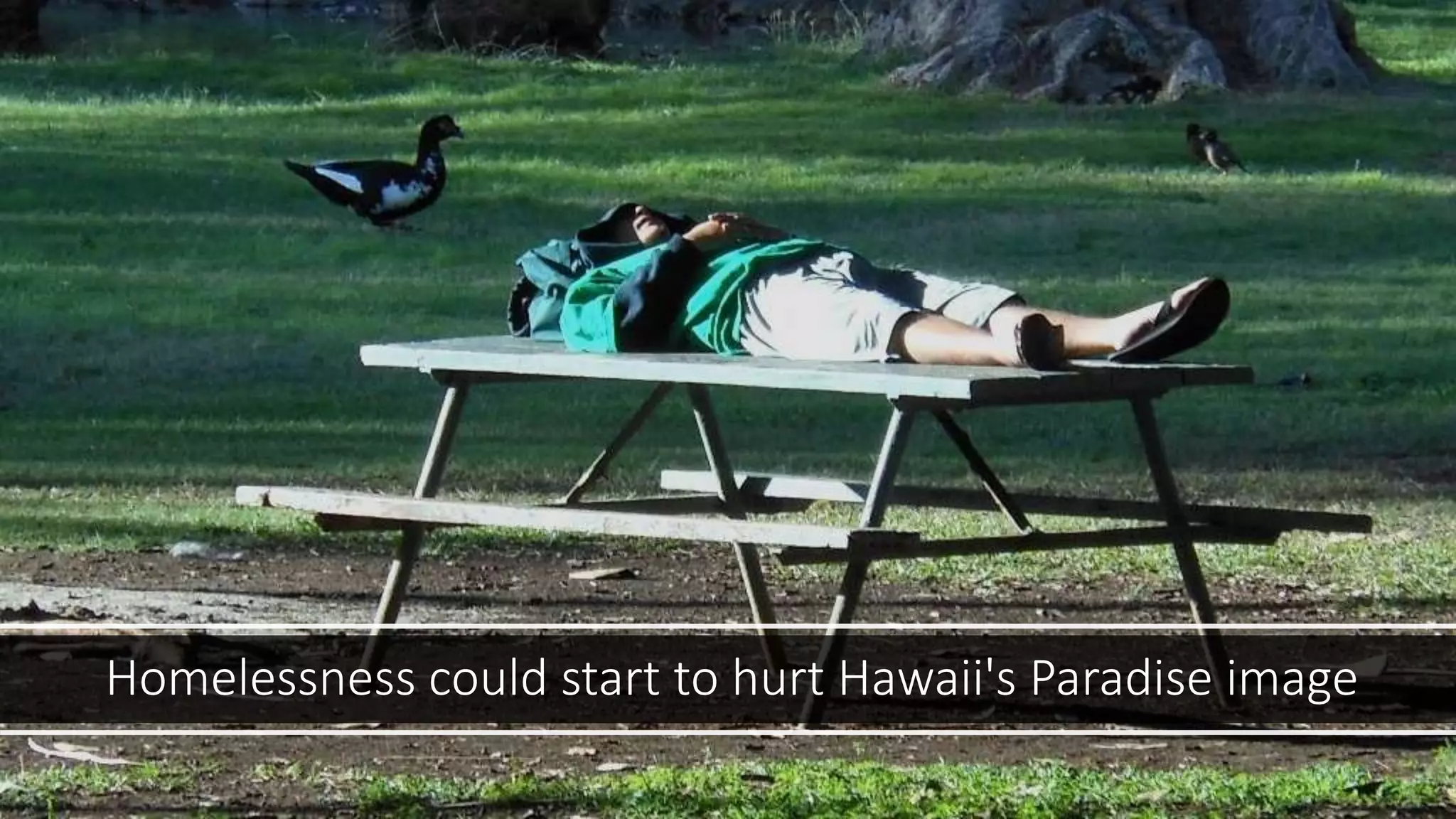 Homelessness in hawaii kyler peek | PPT