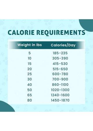 Homemade Dog Food Nutrition Guide | canadavetexpress | PDF