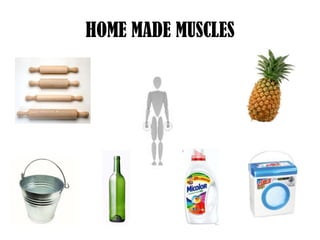 Home made muscles | PPTX
