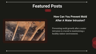 Home Mold Testing | Mold Testing Services | Dangers of Mold | PPTX