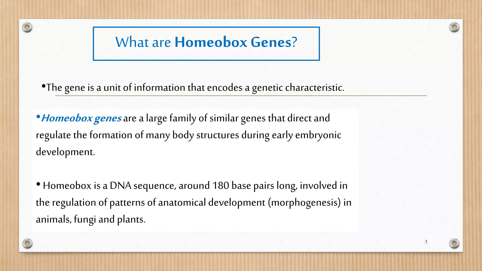 Homeobox genes | PPTX