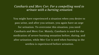 Homeopathic medication: Best remedy to treat nocturia | PDF