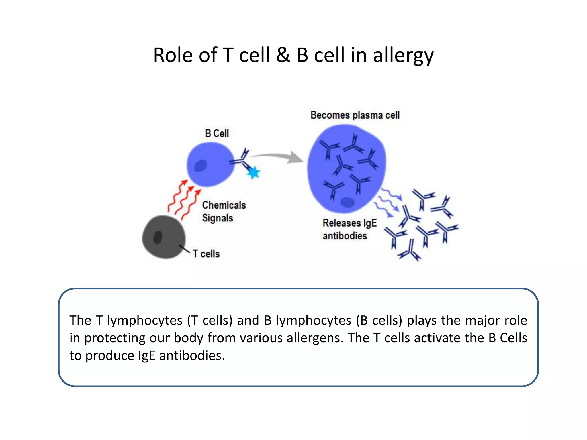 Homeopathy for allergy | PPTX