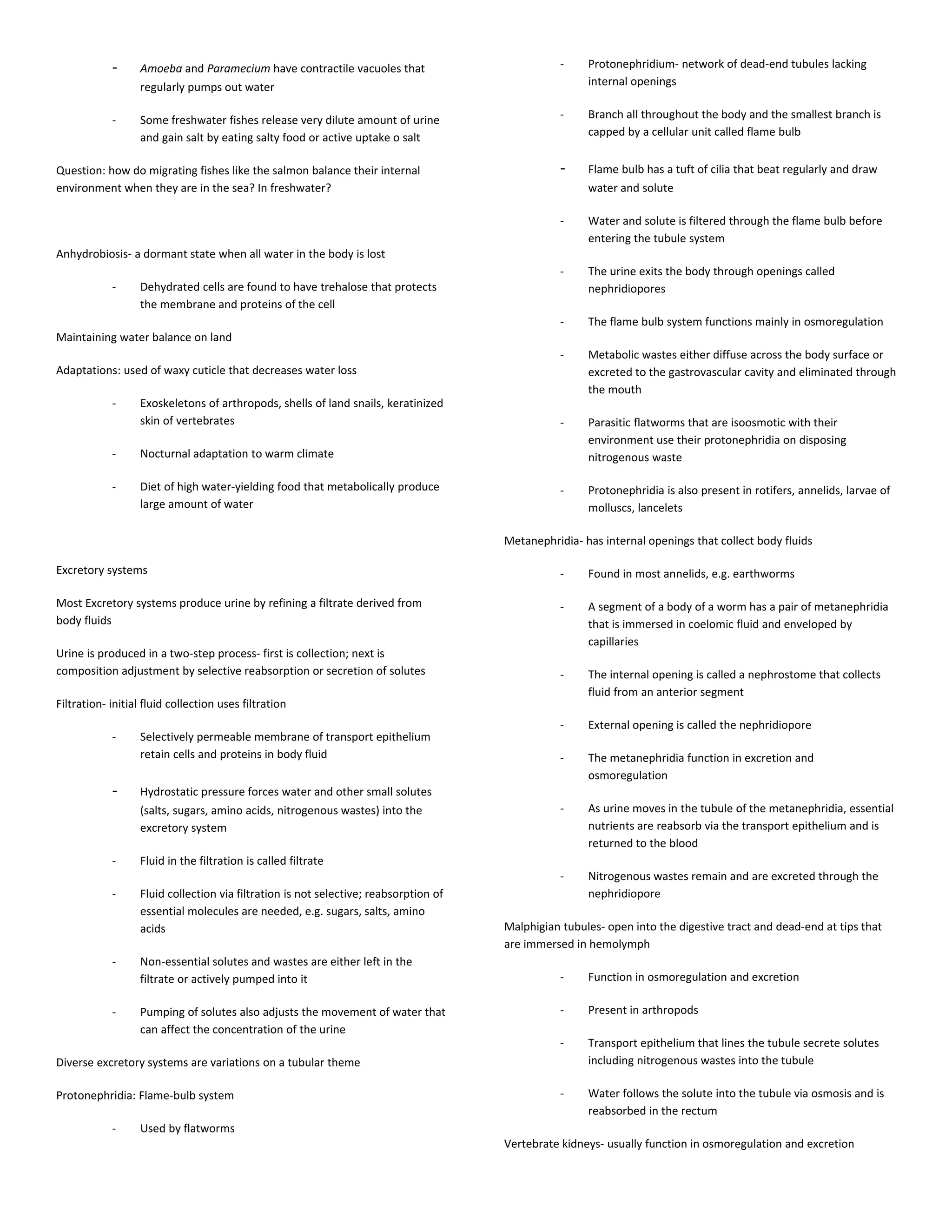 Homeostasis | DOC