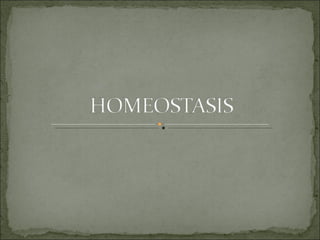 Homeostasis | PPT