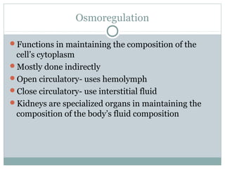 Homeostasis | PPT