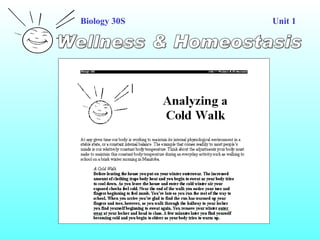 Homeostasis | PPT