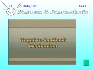 Homeostasis | PPT