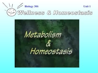 Homeostasis | PPT