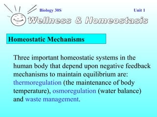 Homeostasis | PPT