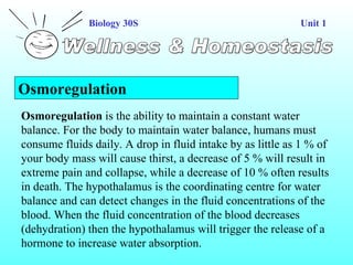 Homeostasis | PPT