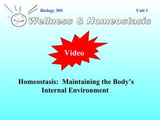 Homeostasis | PPT