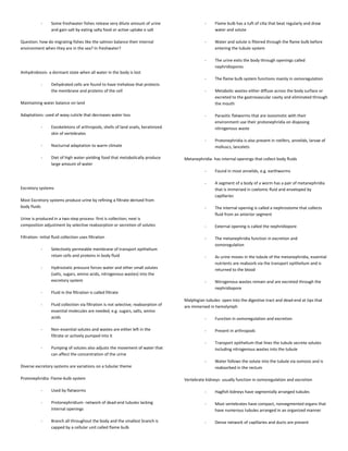 Homeostasis | DOC | Reptiles | Pets