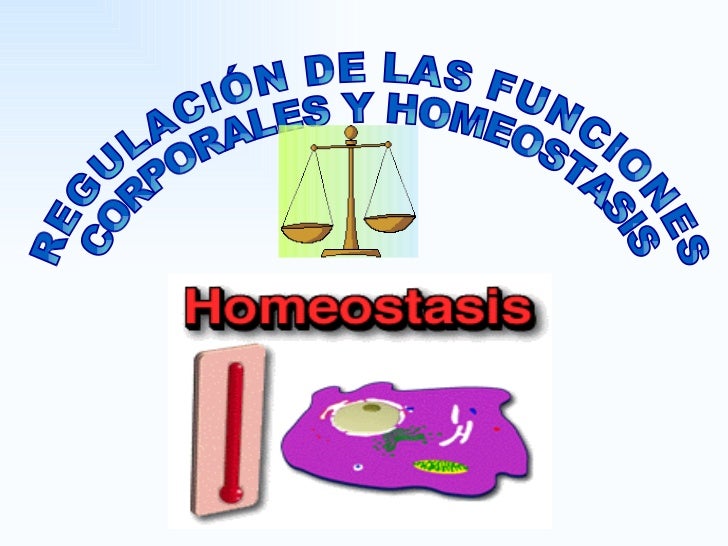 Homeostasis