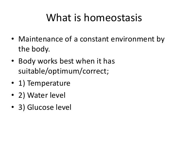 What Is Homeostasis Definition Examples Homeostasis