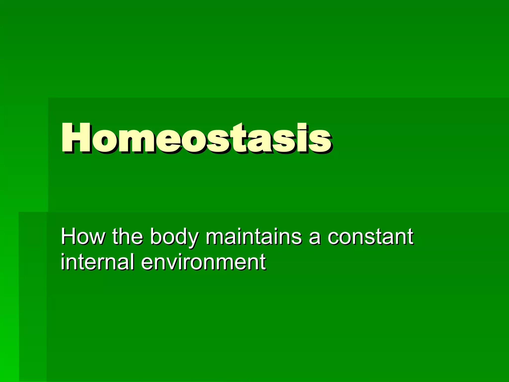 Homeostasis | PPT
