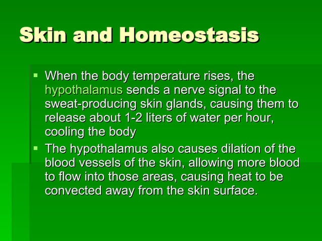 Homeostasis | PPT