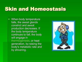 Homeostasis | PPT