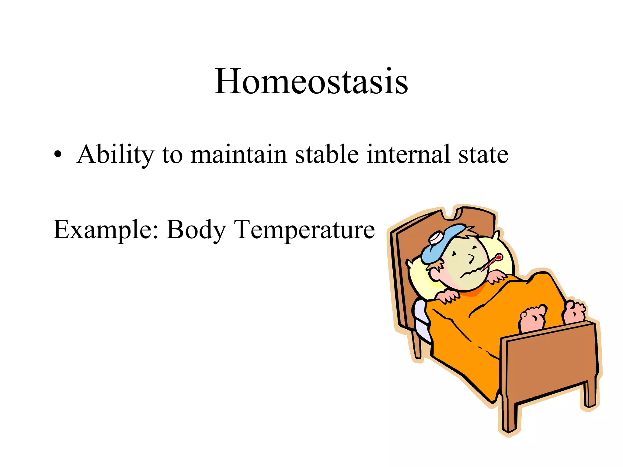 Homeostasis | PPT