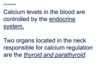 Anatomy and Physiology Module #1 Homeostasis | PPT