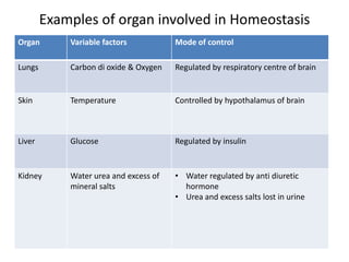 Homeostasis | PPTX