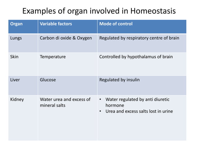 Homeostasis | PPTX