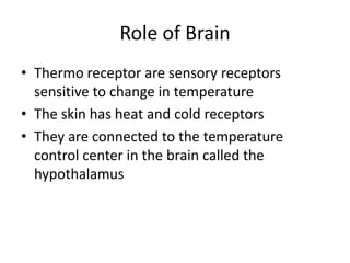 Homeostasis | PPTX