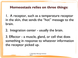 Homeostasis | ODP