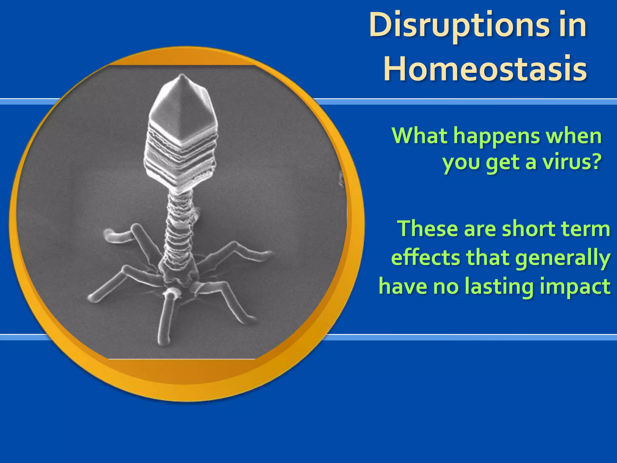 Homeostasis | PPTX