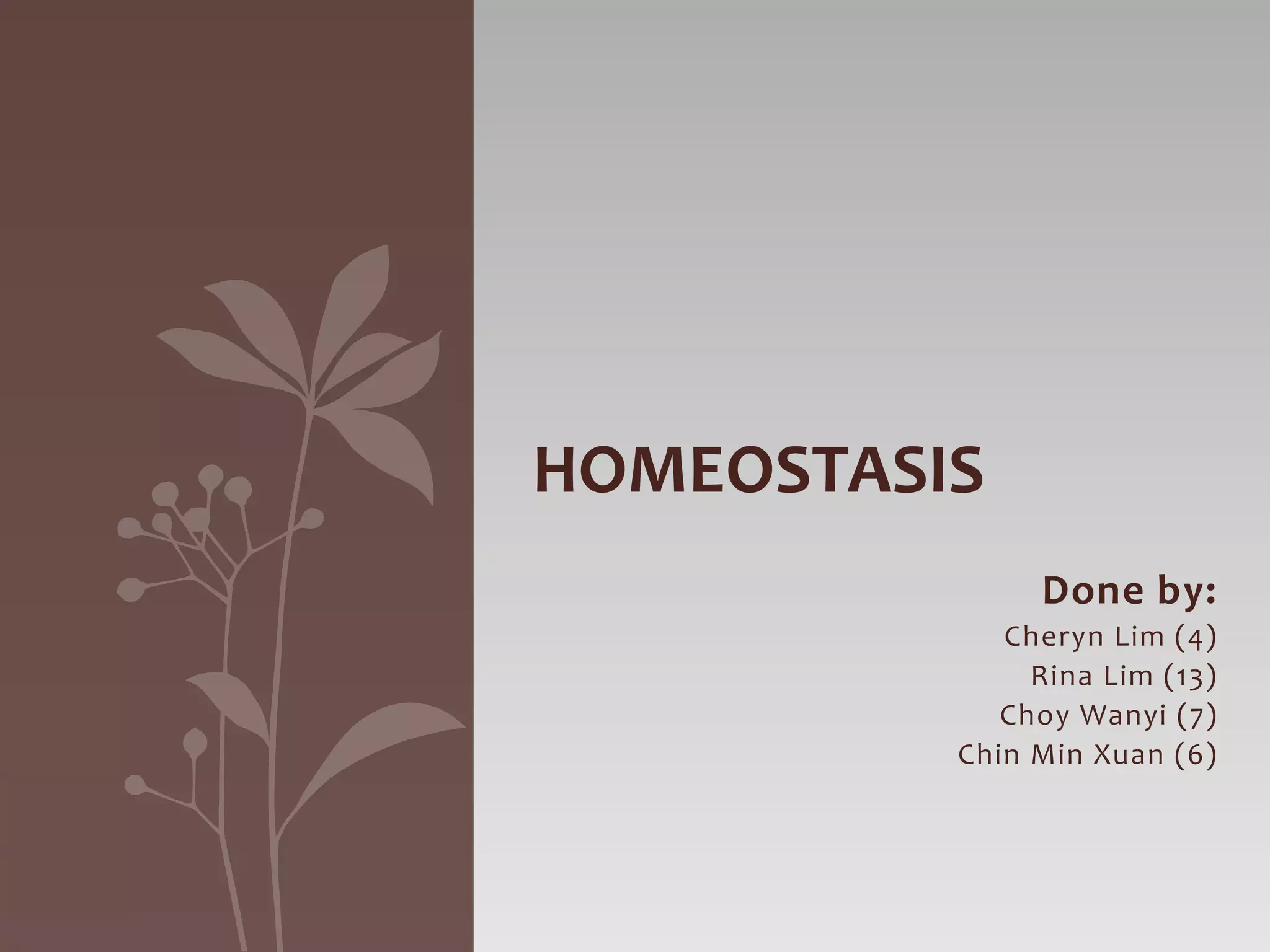 Homeostasis (Biology Project) | PPTX