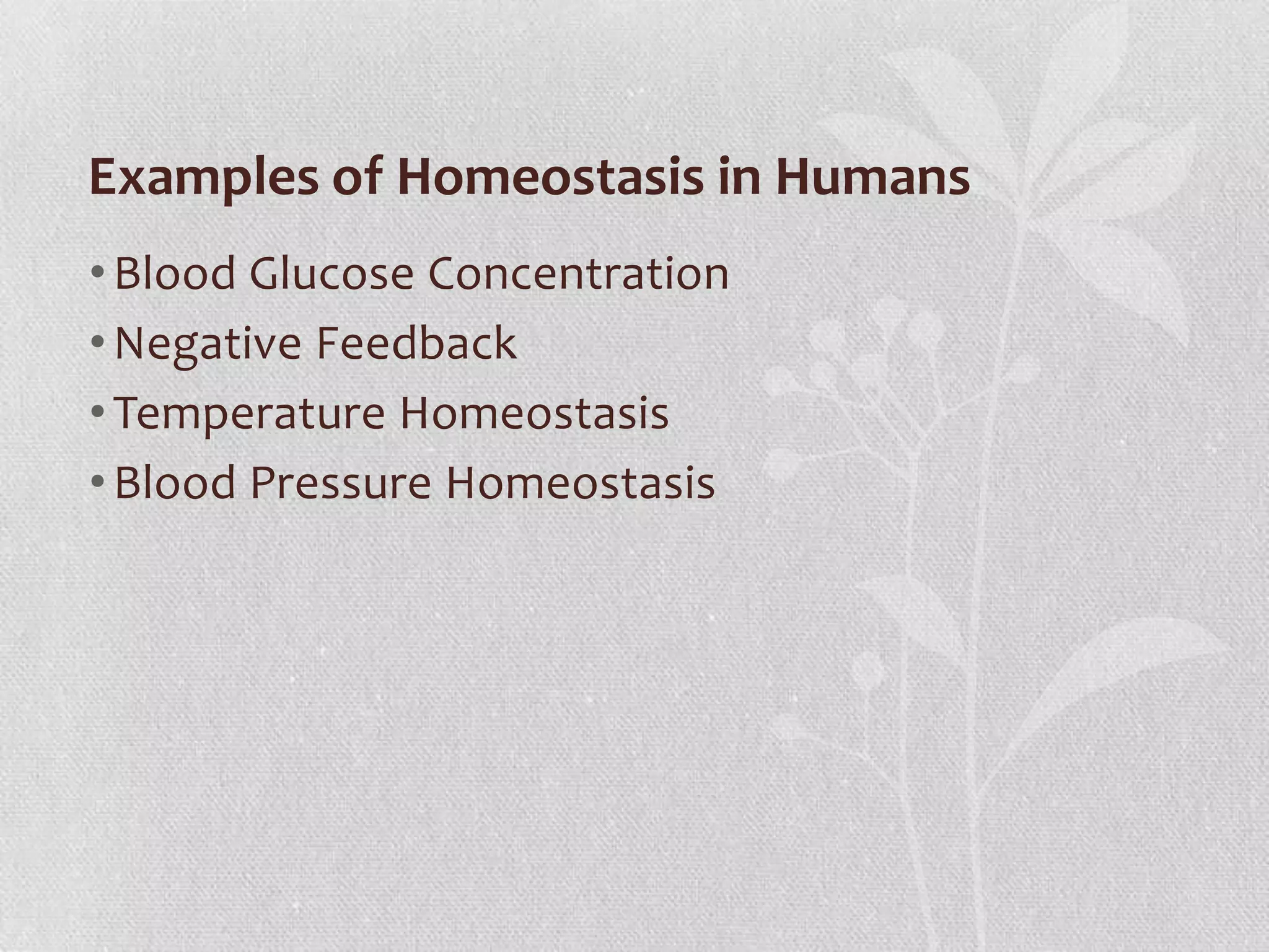 Homeostasis (Biology Project) | PPTX