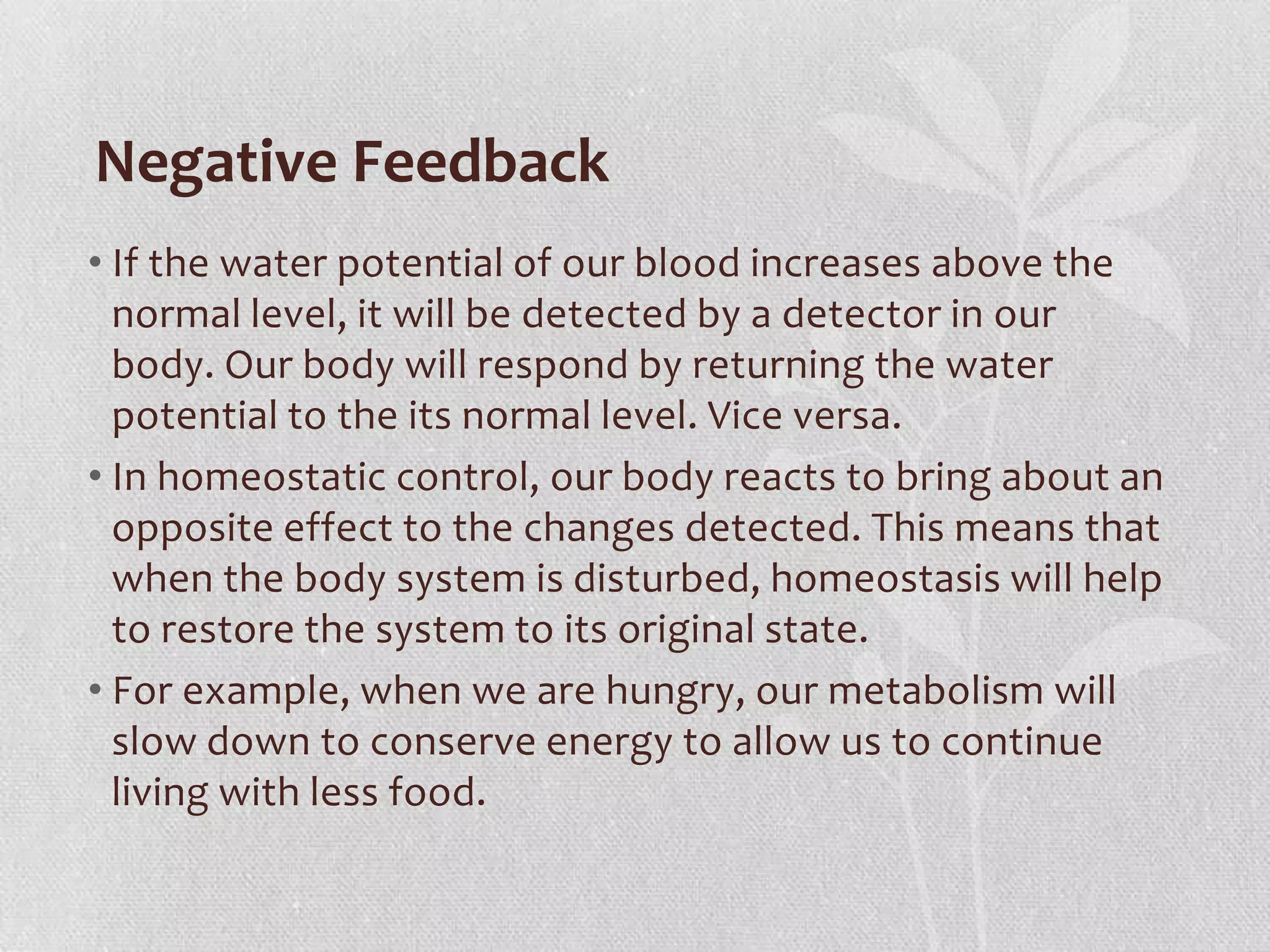 Homeostasis (Biology Project) | PPTX
