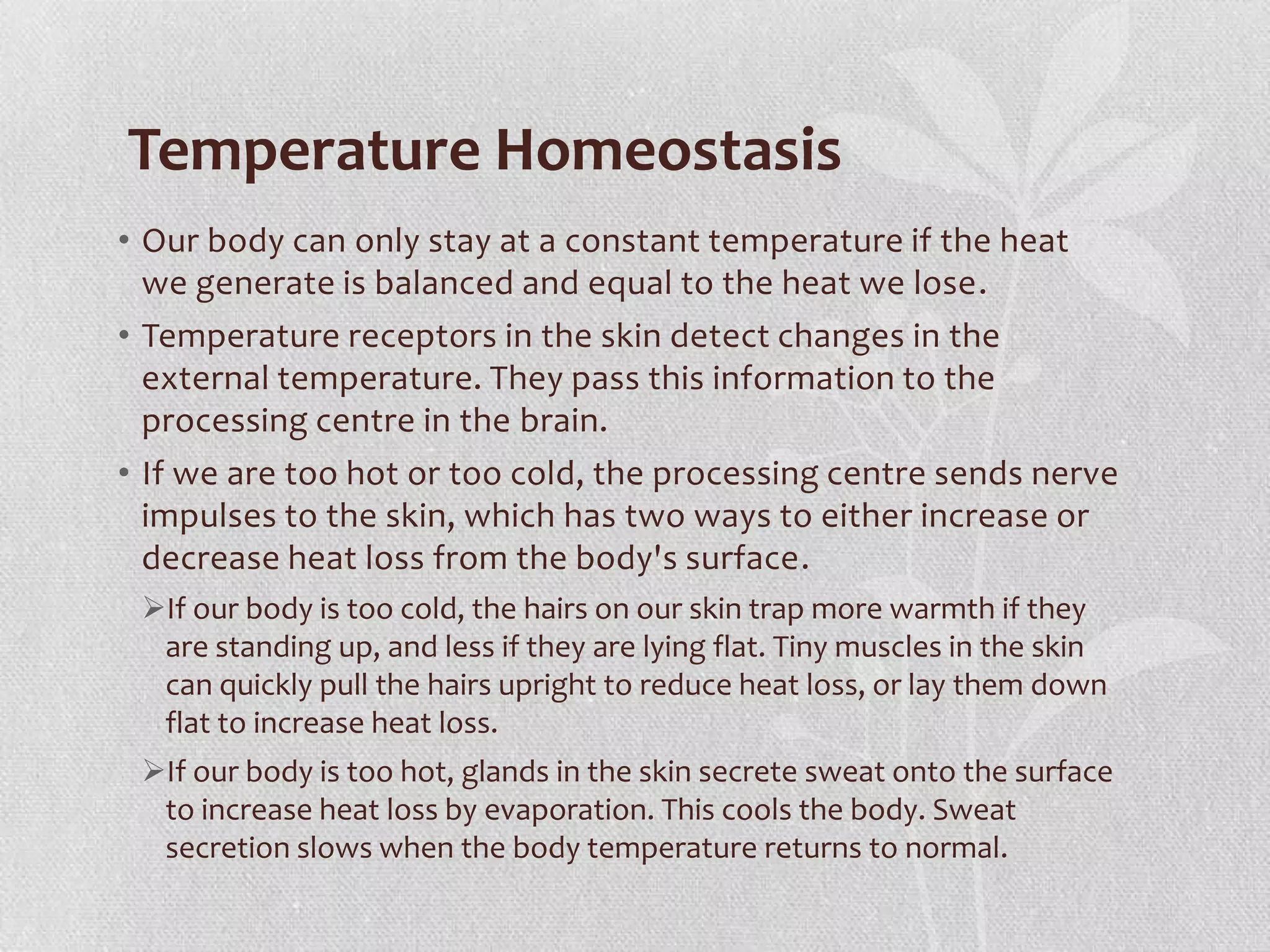 Homeostasis (Biology Project) | PPTX