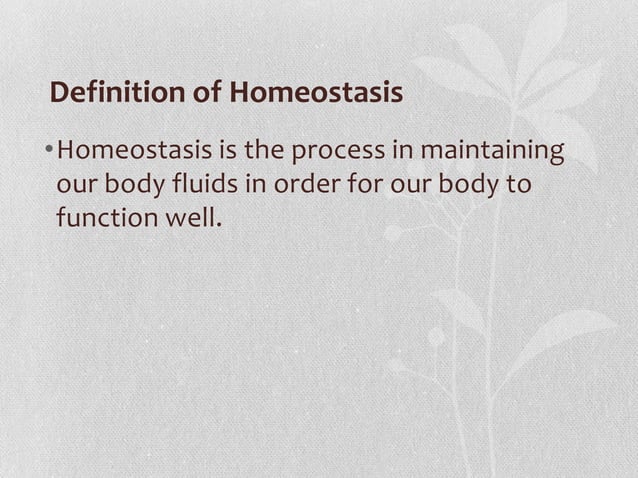 Homeostasis (Biology Project) | PPTX