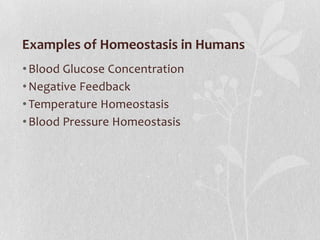 Homeostasis (Biology Project) | PPTX