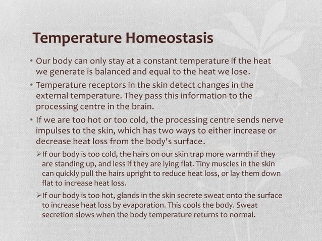 Homeostasis (Biology Project) | PPTX