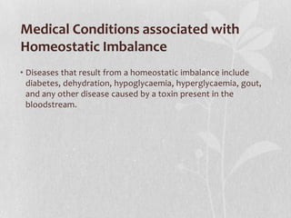 Homeostasis (Biology Project) | PPTX
