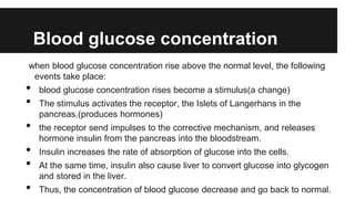 Homeostasis | PPTX
