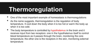 Homeostasis | PPTX